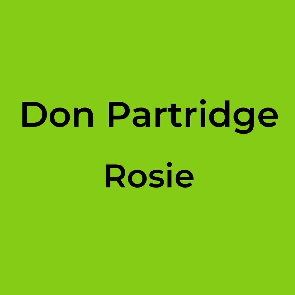 Sunfly Karaoke | Rosie - Don Partridge