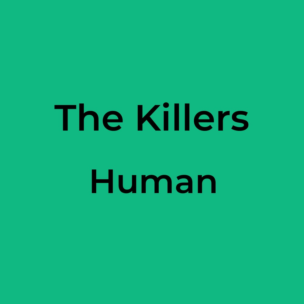 Sunfly Karaoke | Human - The Killers