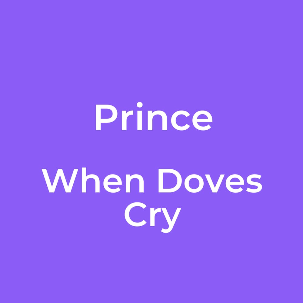 Sunfly Karaoke | When Doves Cry - Prince
