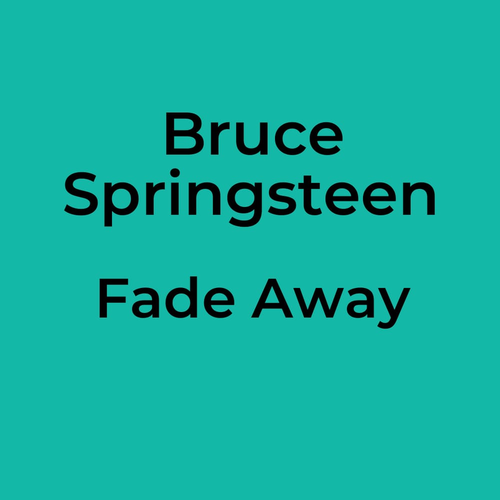 Sunfly Karaoke | Bruce Springsteen - Fade Away