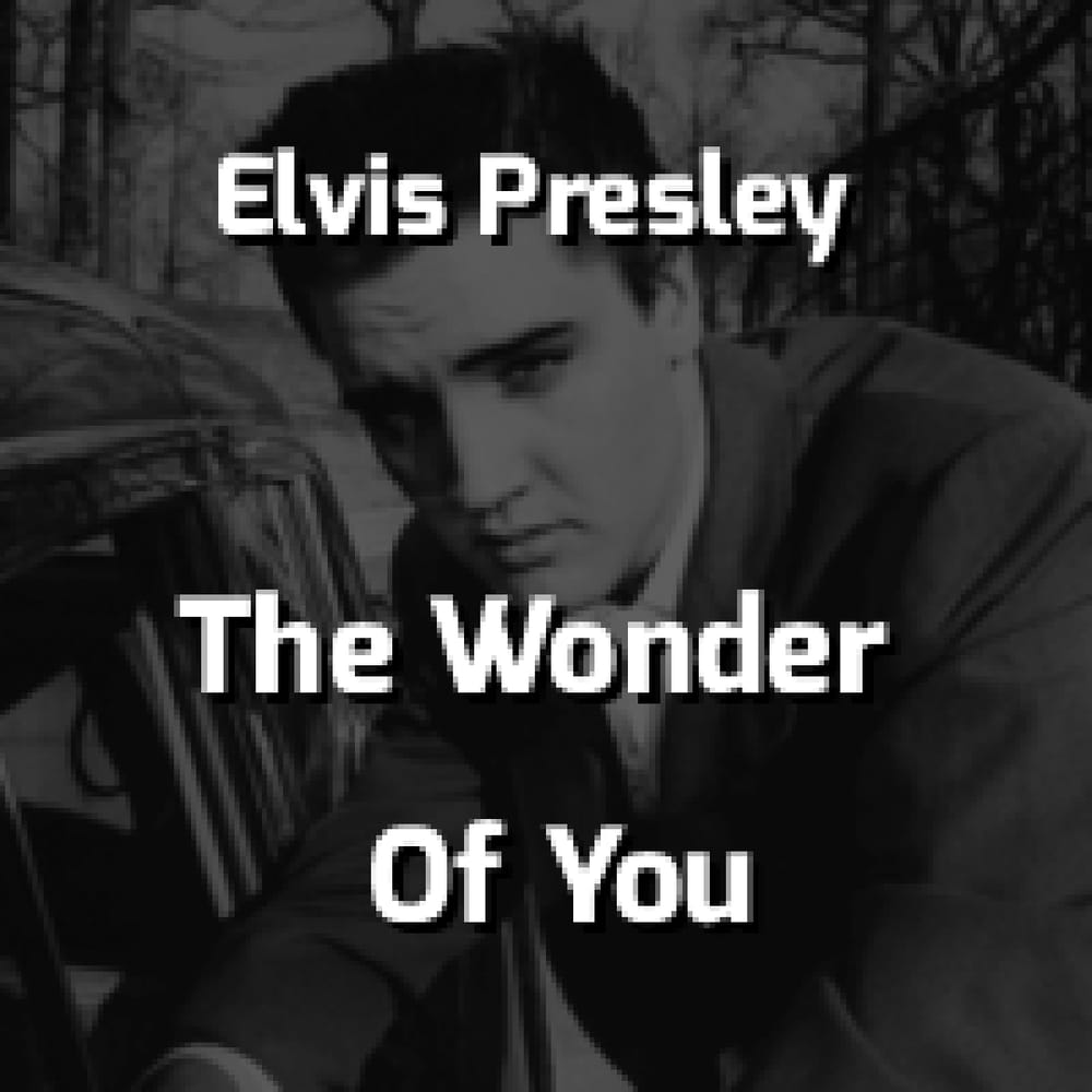 Sunfly Karaoke | The Wonder Of You - Elvis Presley