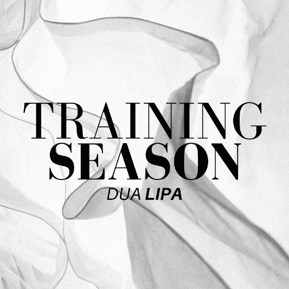Sunfly Karaoke | Training Season - Dua Lipa