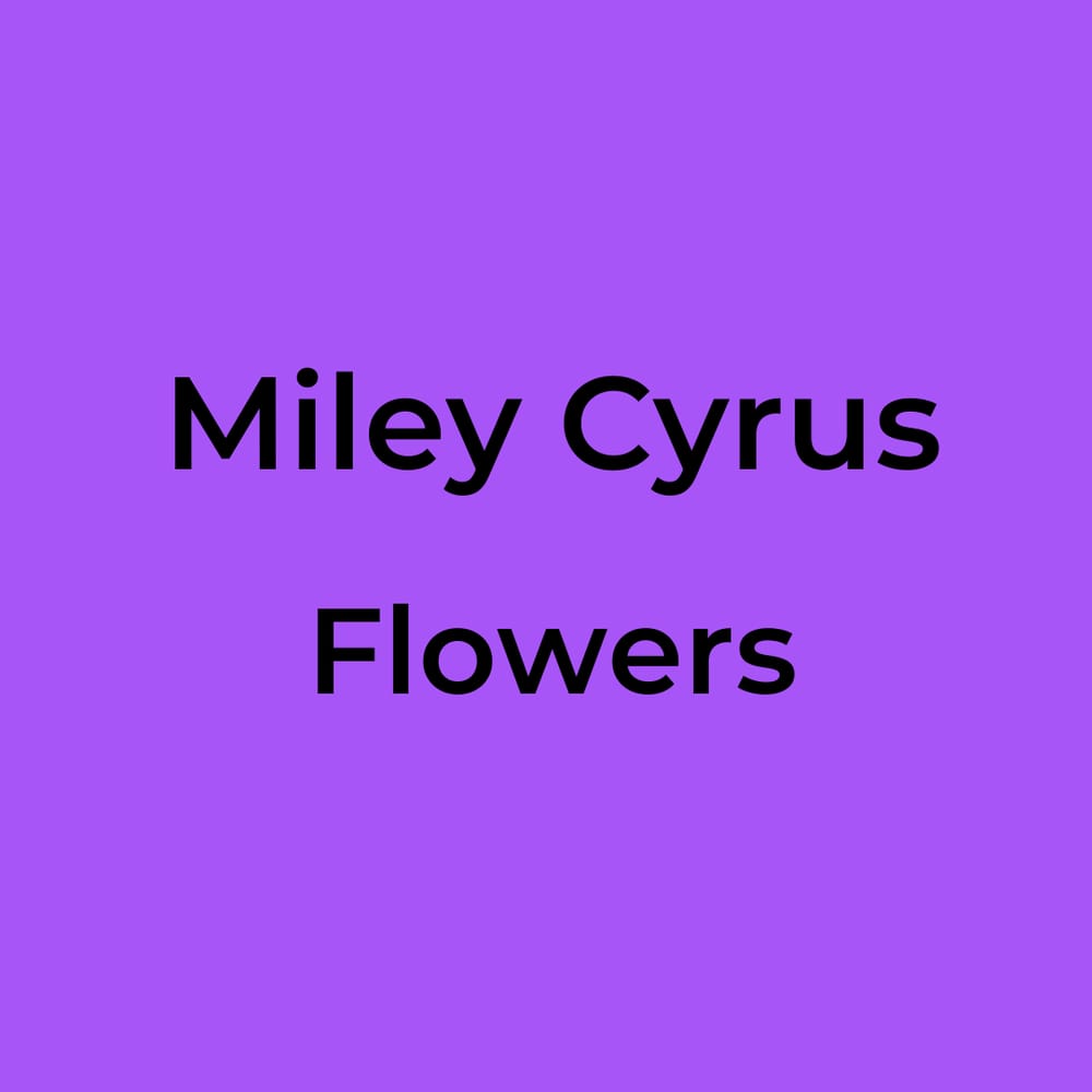 Sunfly Karaoke | Miley Cyrus - Flowers