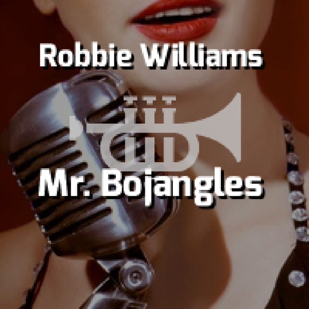 Sunfly Karaoke | Robbie Williams - Mr. Bojangles