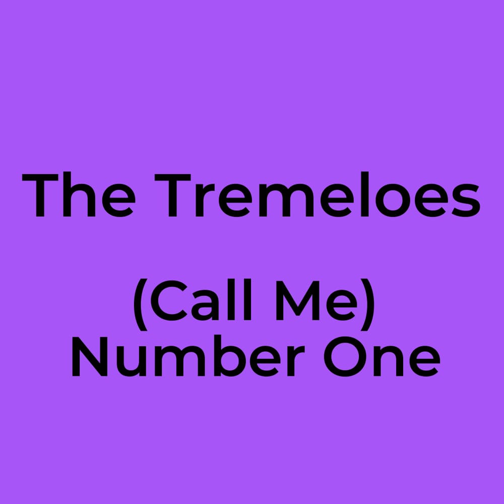 Sunfly Karaoke | (Call Me) Number One - The Tremeloes